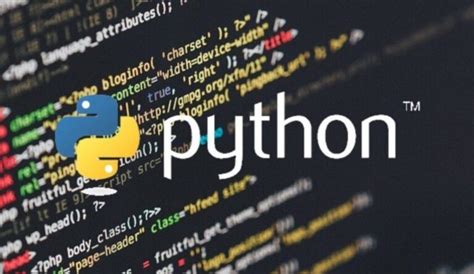 Python el lenguaje de código abierto que marca el futuro Technocio