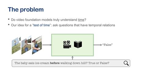 What Multimodal Foundation Models Cannot Perceive Ppt