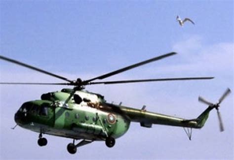 Онгоцоор ойн хортон шавьжийг устгана Wwf