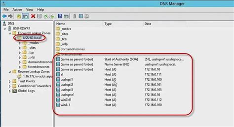 dns forward and reverse lookup bapbrowser