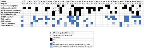 Mutation Analysis Performed On Tumor Biopsies From Patients With Newly Diagnosed Germinal Center