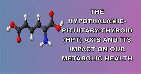 Metabolic Health And Hypothalamic Pituitary Thyroid Axis