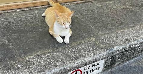 Fuck The System Album On Imgur