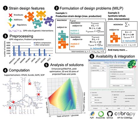 Overview Of Features And Workflows Of The Straindesign Package For