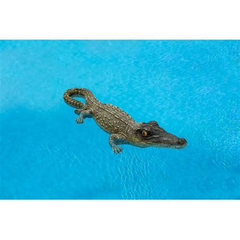 Poolmaster Small Floating Alligator 18