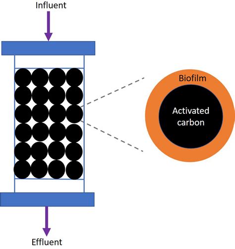History Of Activated Carbon At Rosa Gray Blog