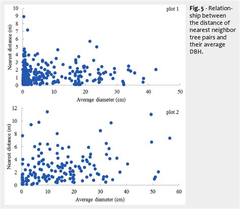 Figure 5 From The Patterns Of Nearest Neighbor Trees In A Temperate Forest Semantic Scholar