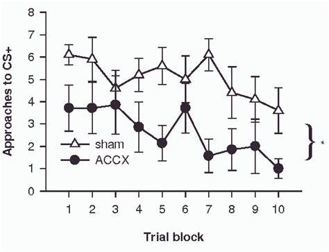 Figure 24 From Role Of The Anterior Cingulate Cortex In The Control