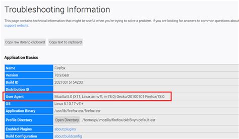 Firefox On Raspberry Pi 3 Stashoktext