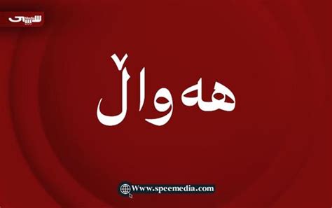 ژنێک لەلایەن کەسوکاری بە ٨ فیشەک کوژرا