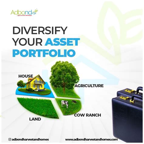 Diversify Your Asset Portfolio 💼 Today Dm Or Callwhatsapp 234 706