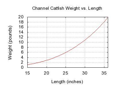 Channel Catfish Size Chart Yahoo Canada Search Results Channel Catfish Chart Catfish