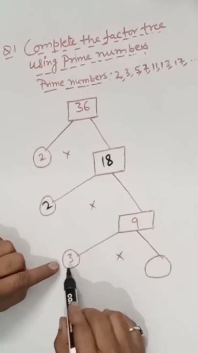 Complete The Factor Tree Using Prime Number Teacher Maths Subscribe Viral Jaishreeram Youtube