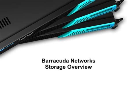 Barracuda Networks Overview PPT Internet Computing