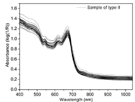 Vis Nir Diffuse Reflectance Spectroscopy Of The Samples Download Scientific Diagram