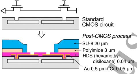 Schematic Cross Section Of A Biosensor Fabricated Based On Cmos