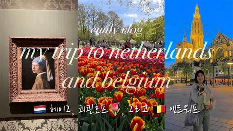 🇳🇱🇧🇪 여행 Vlog 2023 🇳🇱 네덜란드 헤이그 🌷튤립공원 쾨쾬호프 그리고 🇧🇪 벨기에 앤트워프 여행 With