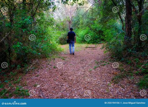Man Walking Along A Path In The Lush Forest In A Magical And Enchanted Environment Stock Photo