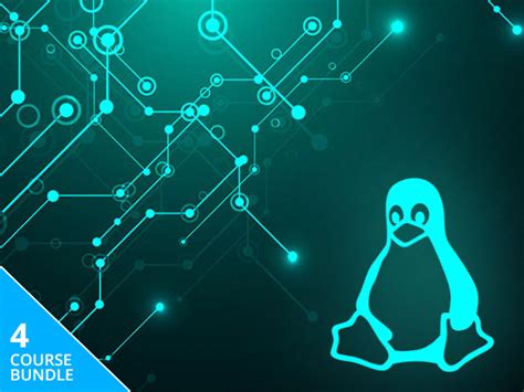 Pay What You Want The Linux Lifetime Mastery Bundle Stacksocial