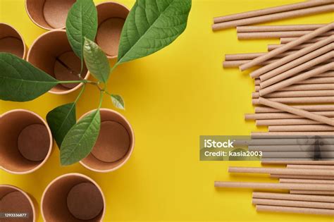 종이와 옥수수 전분으로 만든 튜브 생분해성 재료 및 녹색 새싹 잎이있는 에코 종이 안경은 노란색 트렌드 색상 2021 배경에