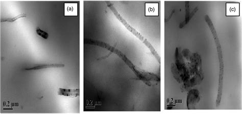 Trasmission Electron Microscopy TEM Images Of 70NR 30NBR CNT Download Scientific Diagram