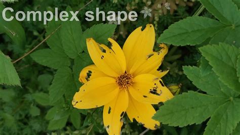 Renat Gilmanov On Linkedin Digitaltwin Computervision Segmentation Deeplearning