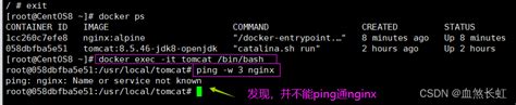 Docker学习：容器之间单双向通信 Link 自定义网络实现互认容器别名 （理论篇）docker服务间别名访问 Csdn博客