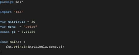 Uso De Variables En Golang