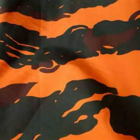 Background Loreng Pp 57 Koleksi Gambar