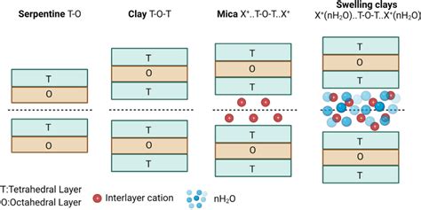 Effect Of Clay Zwitterionic Interactions In Controlling The Viscoelastic Properties In