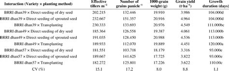 Effect Of Interaction Of Variety And Planting Methods On The Yield And Download Table