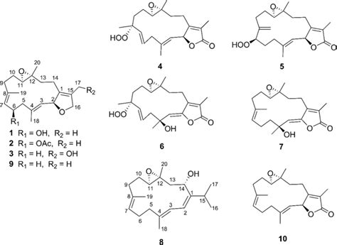 Cembrane Type Diterpenoids From The South China Sea Soft Coral
