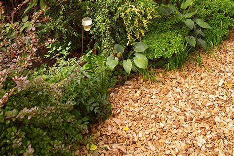 Tree Mulching Sydney Sydney Tree Stump Services
