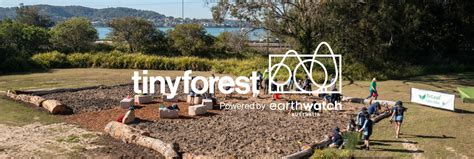 Tiny Forests Get Involved