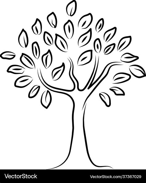Black Line Tree Drawing Royalty Free Vector Image