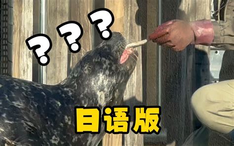 奇 怪 的 海 豹 出 现 了 》 绫人太太啊 绫人太太啊 哔哩哔哩视频