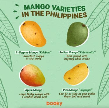 Mango Varieties In The Philippines