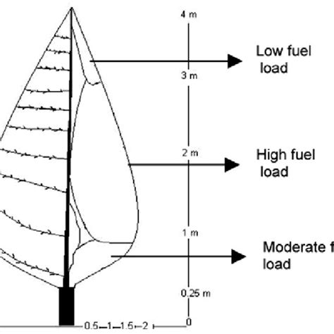 Vertical Distribution Of Canopy Fuel Load Download Scientific Diagram