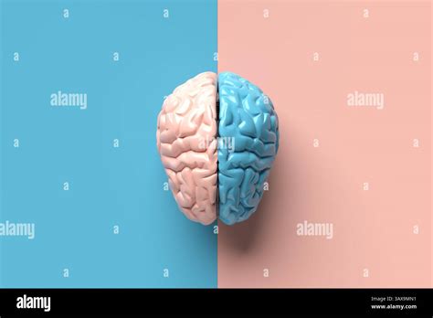 Human Brain Divided In Two Halves With Different Colors Representing Different Ways Of Thinking