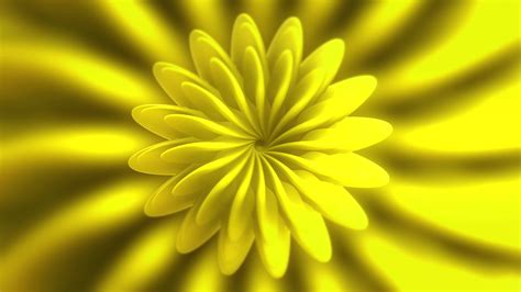 beautiful hypnotic flower pattern motion beautifully rotating flower on isolated background