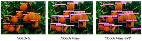 Agriculture Free Full Text Optimizing The Yolov7 Tiny Model With
