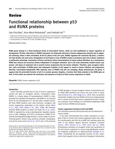 Pdf Functional Relationship Between P53 And Runx Proteins