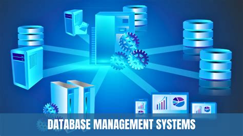 Understanding Popular Database Management Systems Dbms Mysql Postgresql Oracle Sql Server