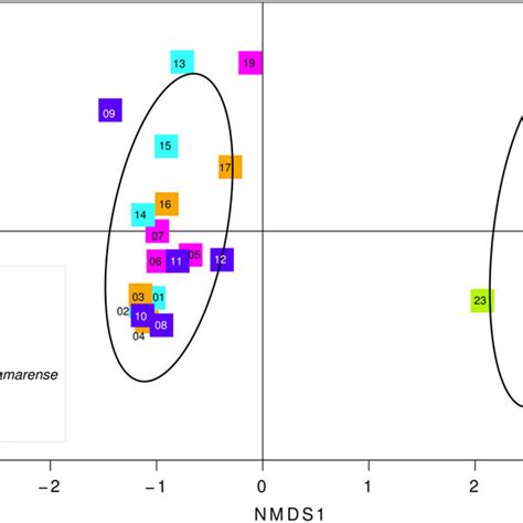 Dissimilarity Analysis Nmds Using A Distance Matrix With Bray Curtis