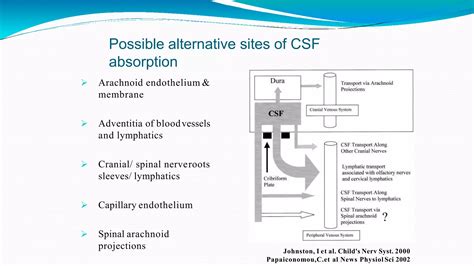 CSF Production Dynamics And Physiology PPTX