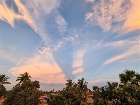 Anindya Mukherjee On Linkedin Naturephotography