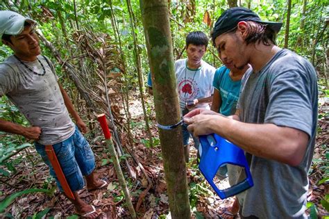 Lidar Enables Accurate And Scalable Carbon Content Measurements