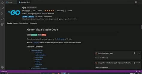 couldn t start client gopls unsupported uri scheme gopls only supports file uris golang
