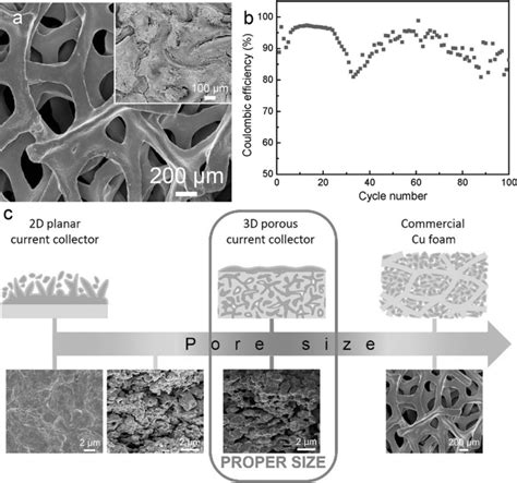 Sem Image Of Proper Pore Size For Limiting Dendrite Growth Adapted