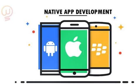 Thiết Kế App Native Applications Mevivu Technology